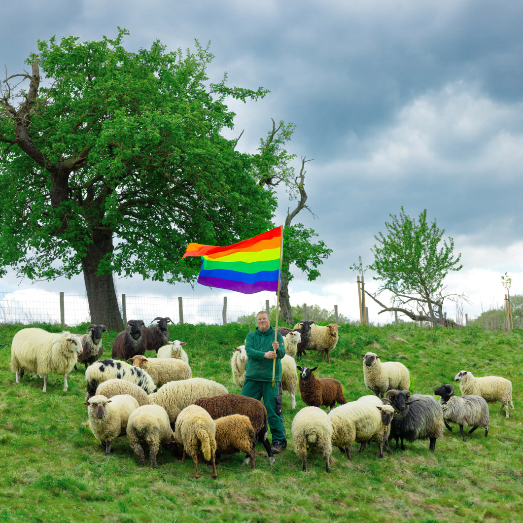 Welcome to Rainbow Wool! 🌈🐏